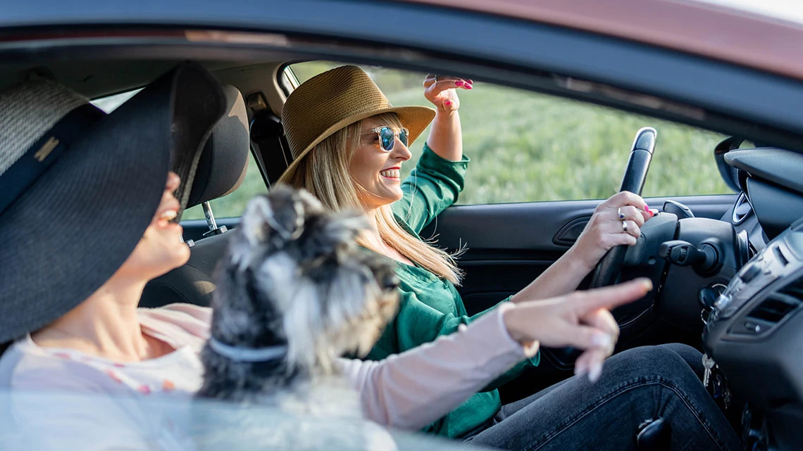 Two women driving with a dog