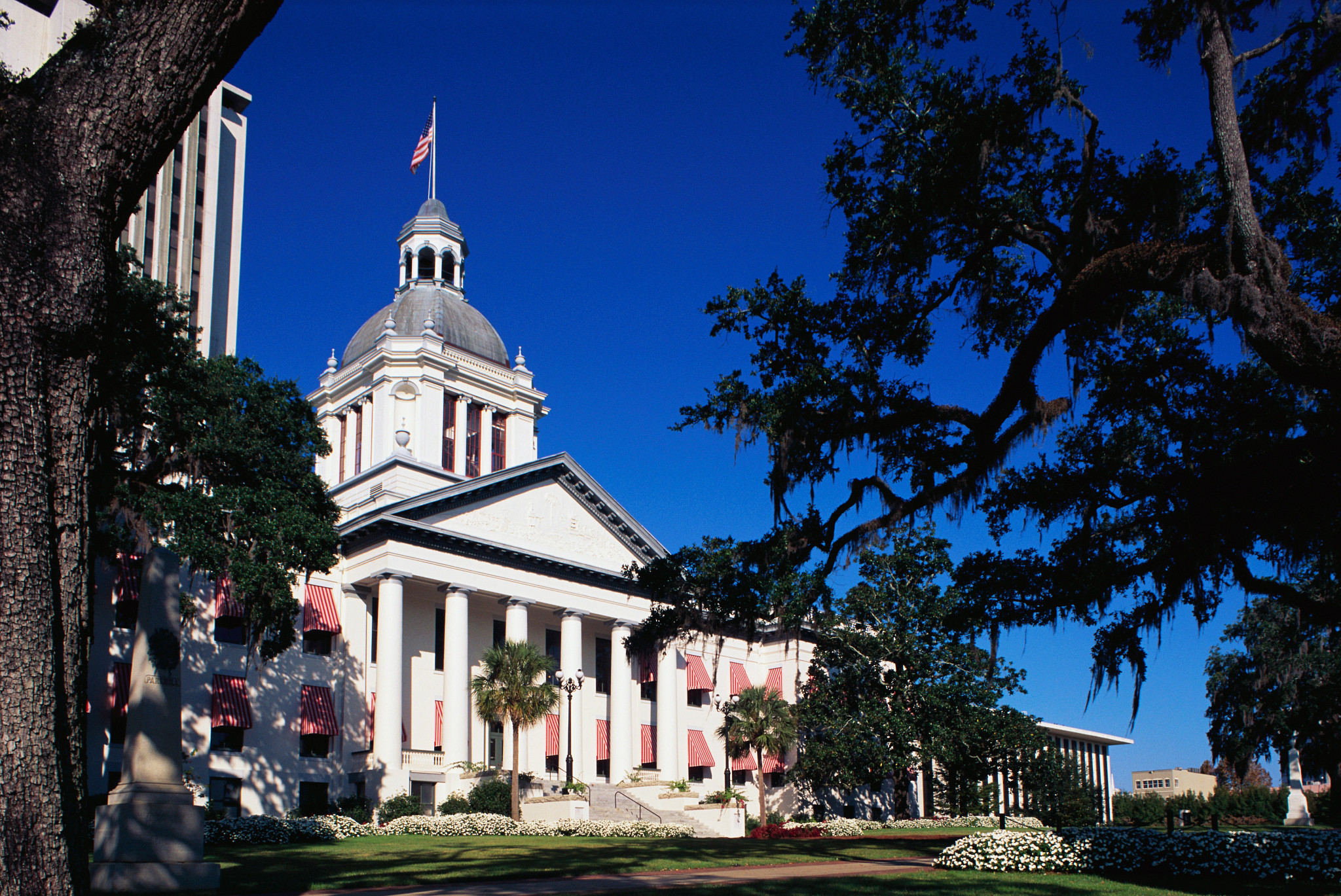 Florida’s 50+ Community Front and Center: AARP Florida Sets 2026 ...