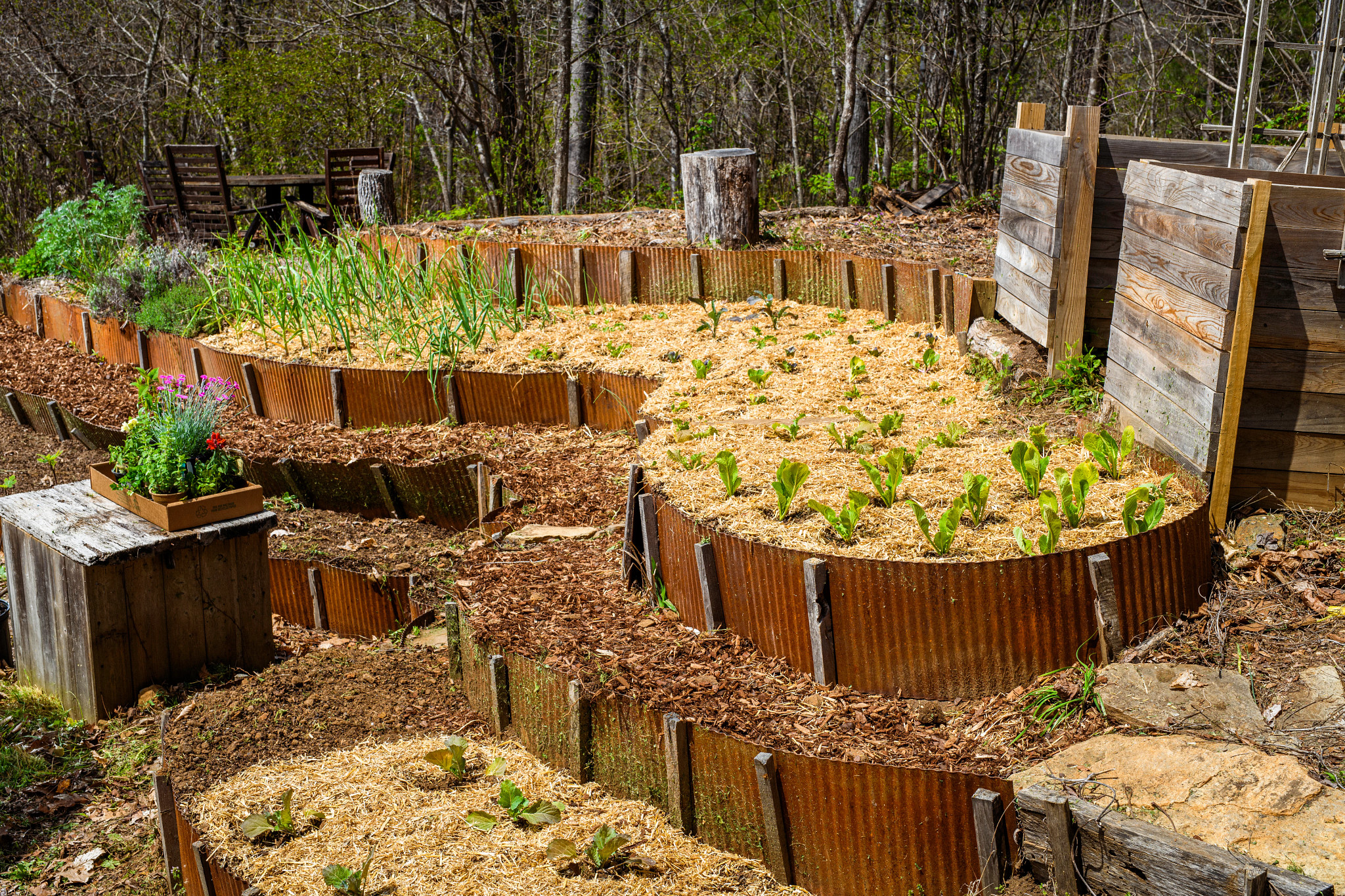 AARP® Official Site - Join & Explore the Benefits