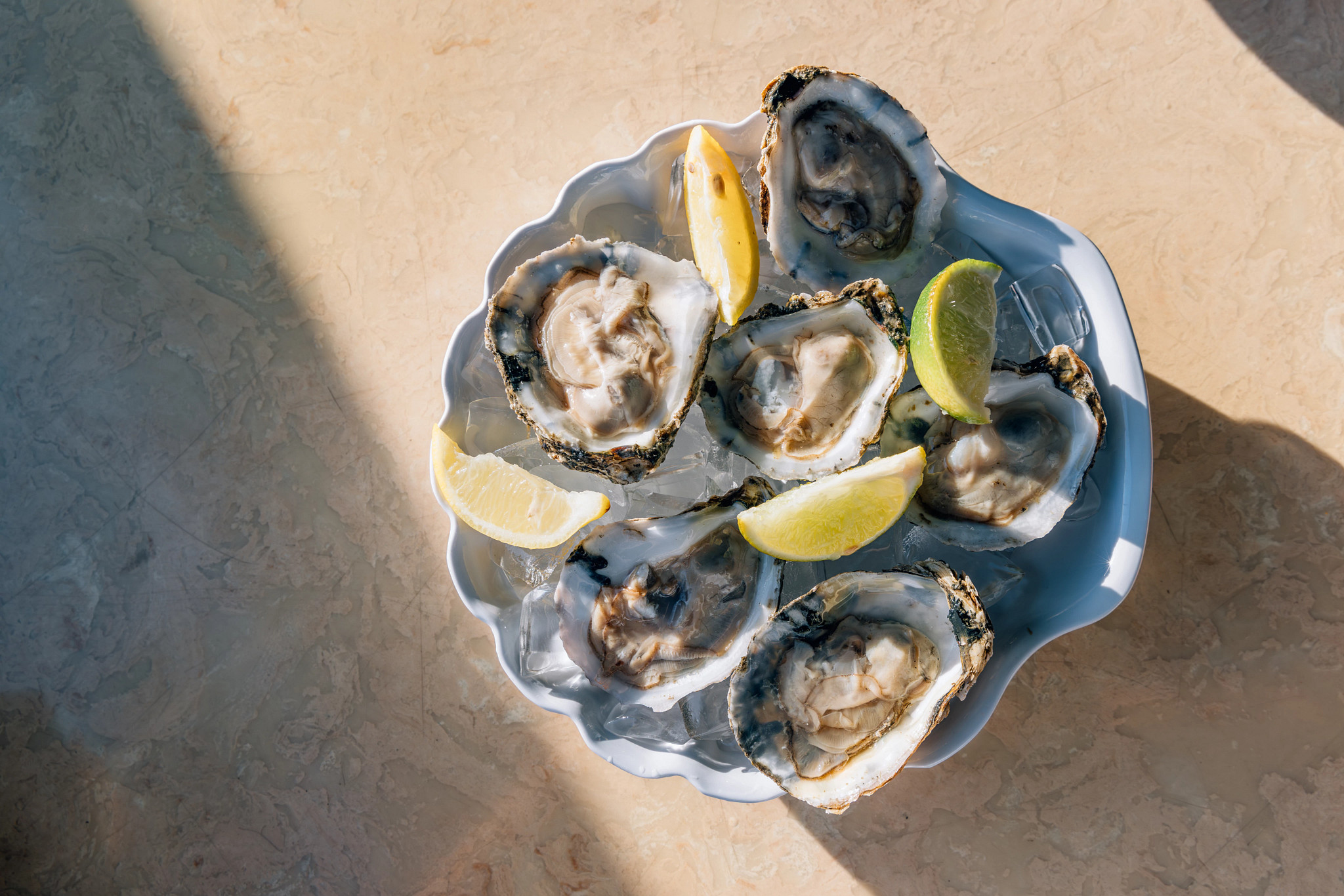 Raw Oyster Salmonella Outbreak Hits 22 States