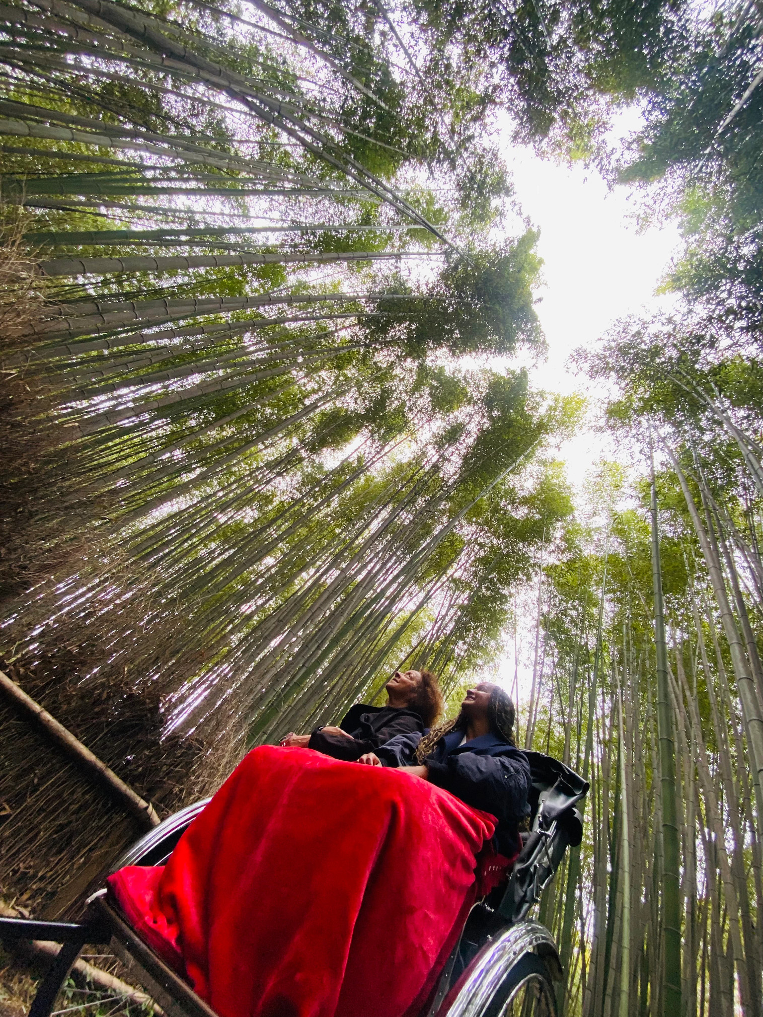 Japan Travel Guide for Travelers Over 50: Planning Tips