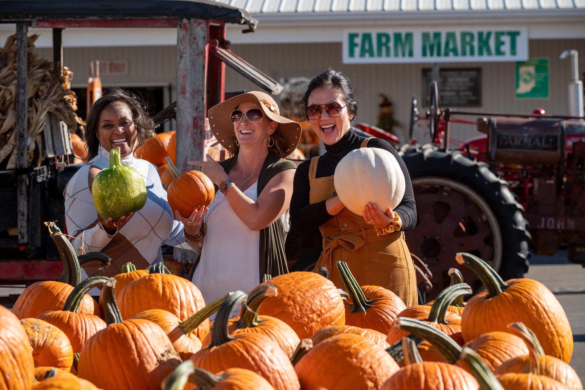 4 Charming Pumpkin Patches to Celebrate Fall