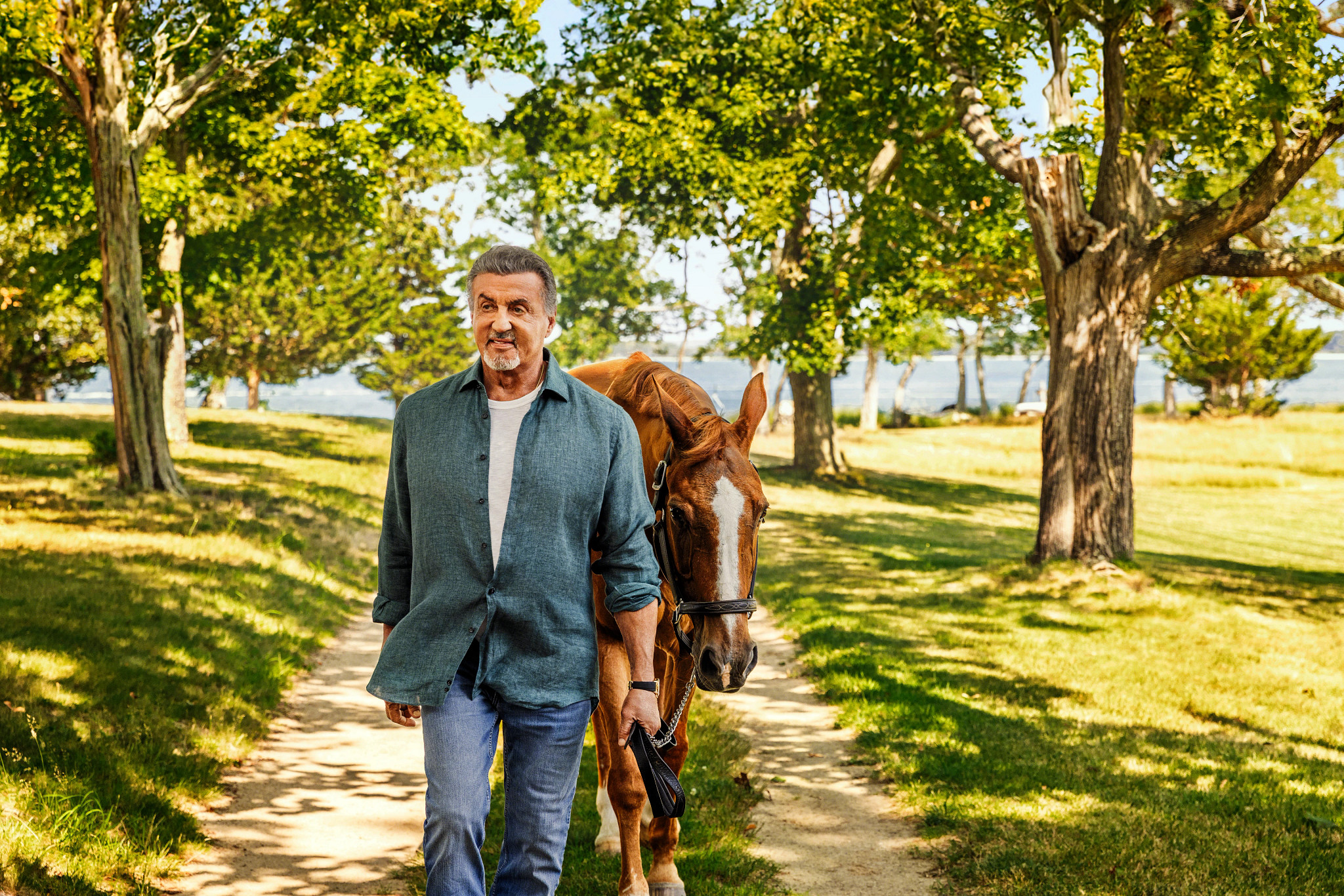 The Latest New Benefits for AARP Members